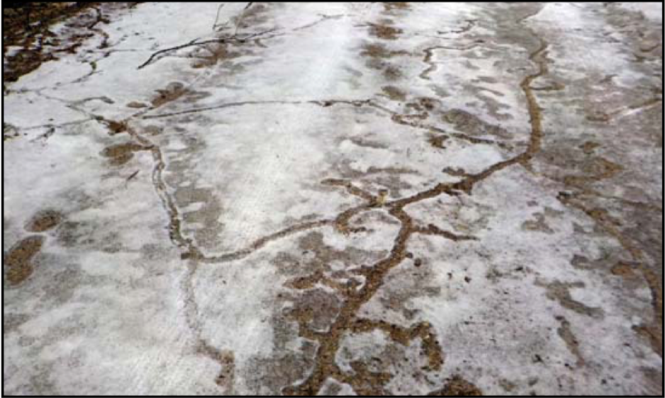 Subnivean Zone – Mousam Way Land Trust